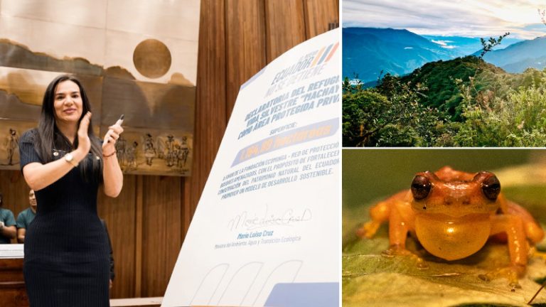 Noticias – Ministerio del Ambiente, Agua y Transición Ecológica